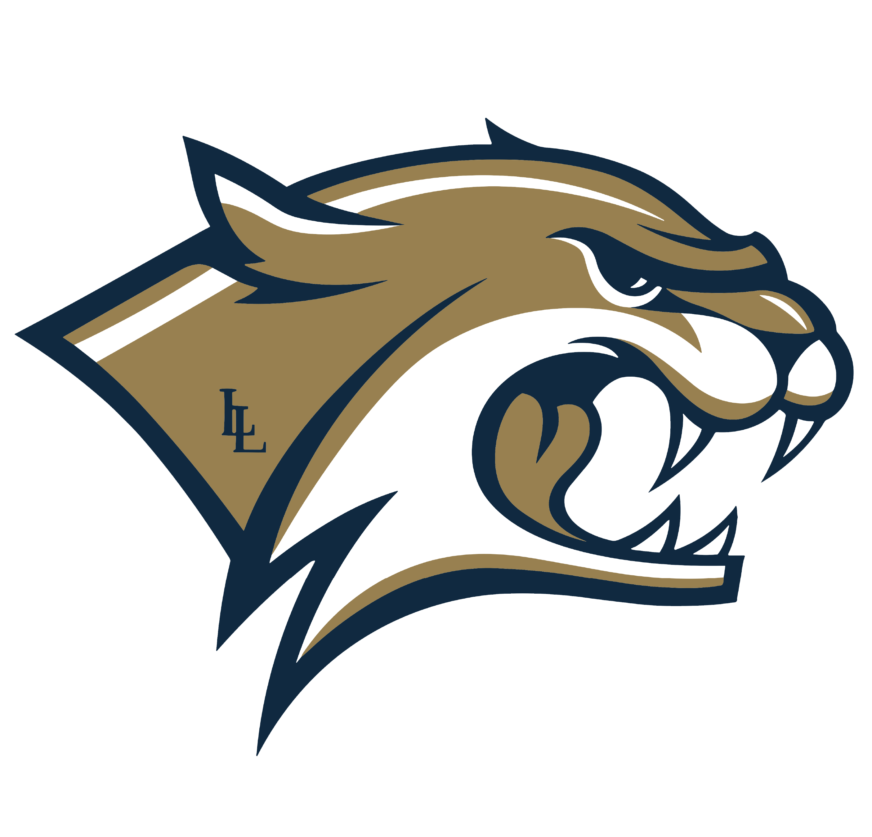 Wildcats ARFLL – Horizon-YourStore